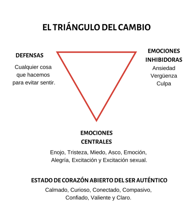 El Triángulo del Cambio, de Hilary Jacobs Hendel.